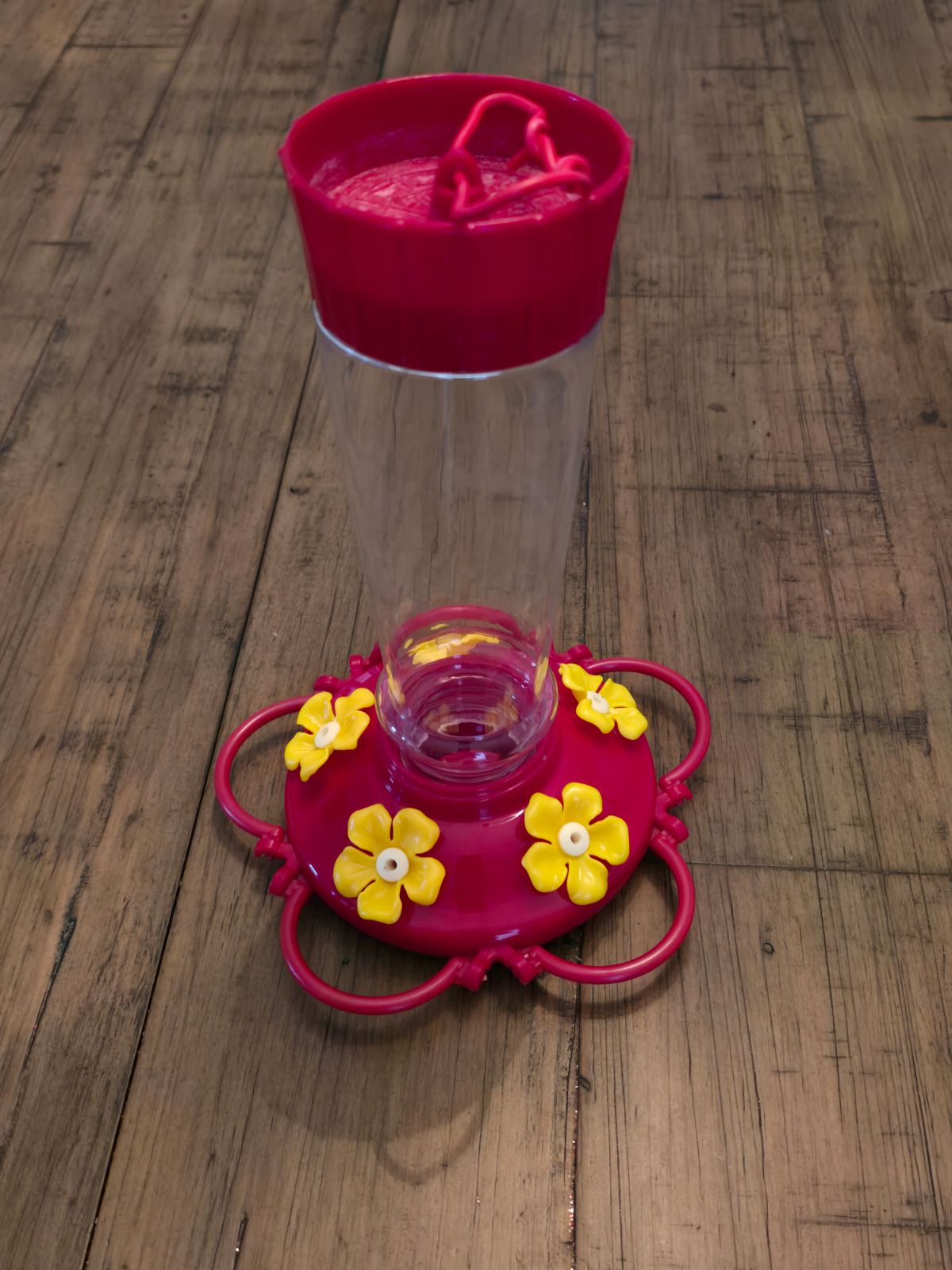 Hummingbird Migration - Mother Natures Apprentice